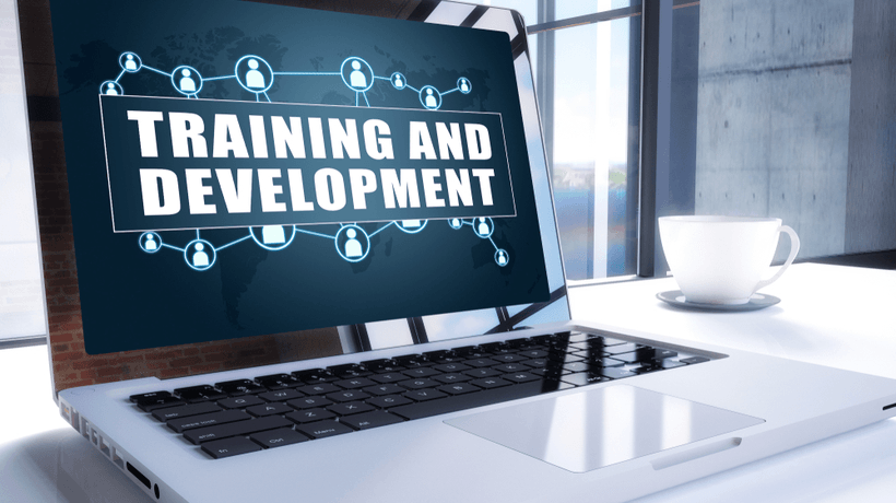 Why Is Employee Training and Development So Important? | Highfield HR
